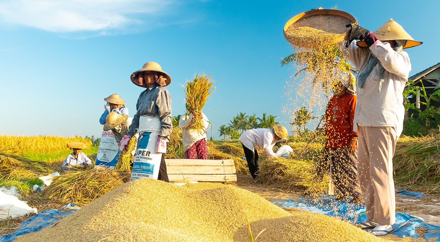 Investasi Berdampak Sosial Melalui Amartha Prosper